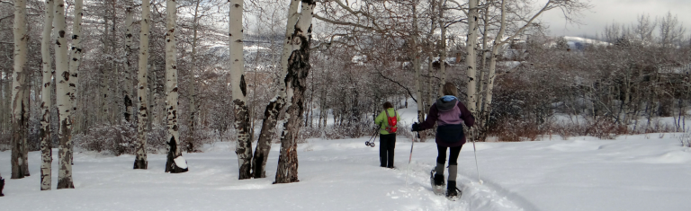 Top 10 Snowshoeing Spots | Back in Motion Physical Therapy | Maine