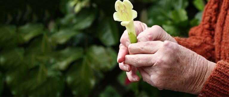 Natural Ways to Relieve Arthritis Pain - Rehab Access